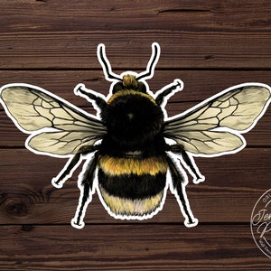 Bumble Bee Vinyl Decal: Adhesive Backed Sticker - Etsy