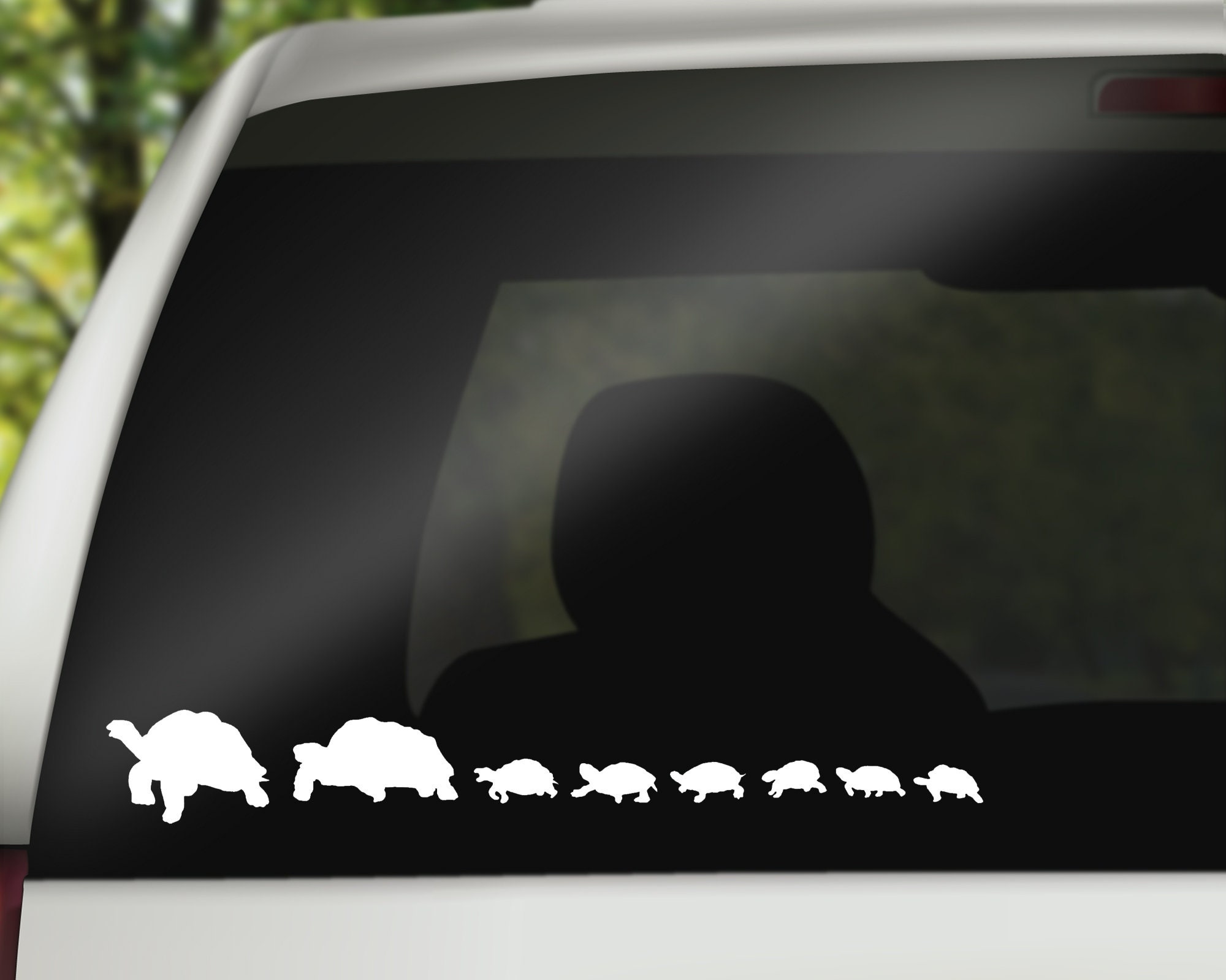 Turtle Family Car Window Decal Turtle Family Decal Turtle | Etsy