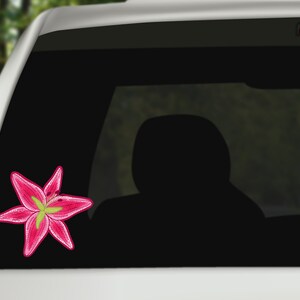Hand-drawn Tiger Lily Car Window Decal: Pink Flower Vinyl - Etsy