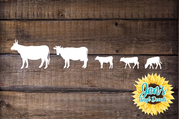 Show Steer Decal