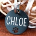 Personalized Circle Dog Tag, Engraved Dog Tag for Dog, Custom Dog Tag ...
