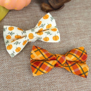 Breakaway Cat Collar With Bell, Pumpkin Cat Collar Breakaway, Small Pet ...