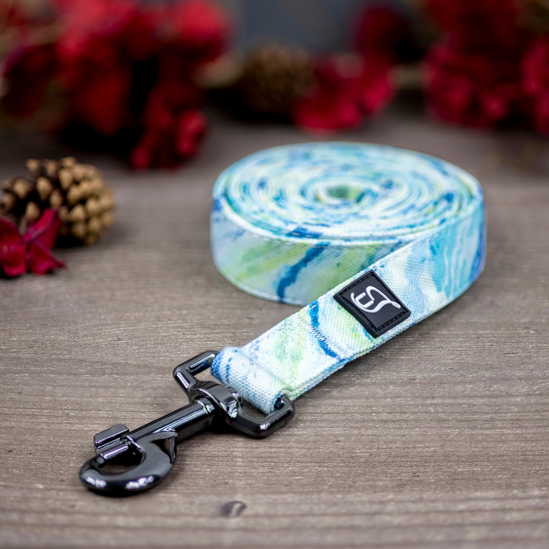 Wave Wide Dog Leash 1 Inch, 6 Feet Dog Leash With Heavy Duty Metal Hook ...