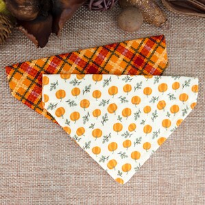 Breakaway Cat Collar With Bell, Pumpkin Cat Collar Breakaway, Small Pet ...