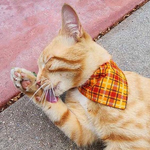 Breakaway Cat Collar With Bell, Pumpkin Cat Collar Breakaway, Small Pet ...