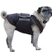 Dog Jacket for Pugs Dog Coat Extra Warm Winter Dog Coat Custom Dog Coat ...