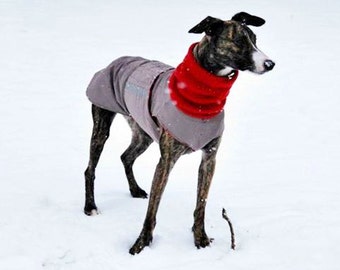 Greyhound / Whippet Extra Warm Winter Dog Coat with underbelly | Etsy