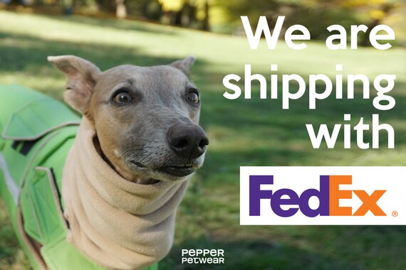 Ship Dog Fedex