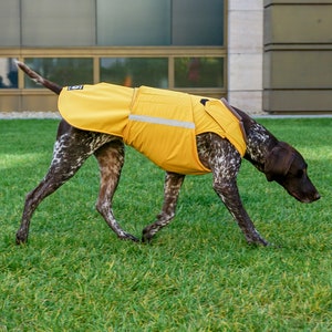 German Pointer Dog Raincoat - Dog Jacket - Custom Dog Coat - Waterproof ...