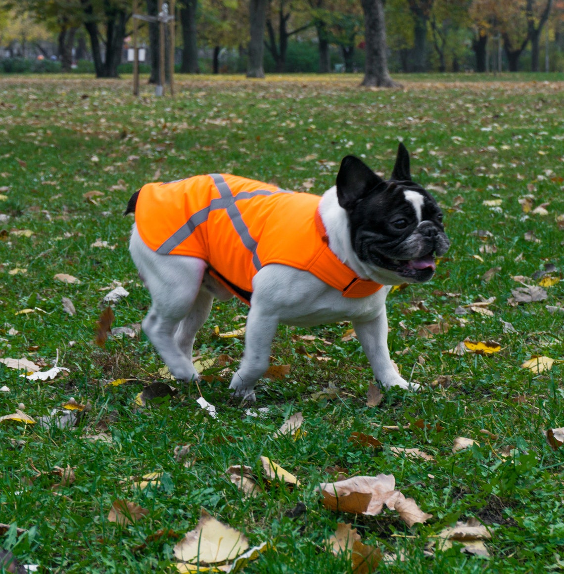 High Visibility Jacket - Hi Viz Dog Coat - Hi Vis Dog Coa - Reflective ...