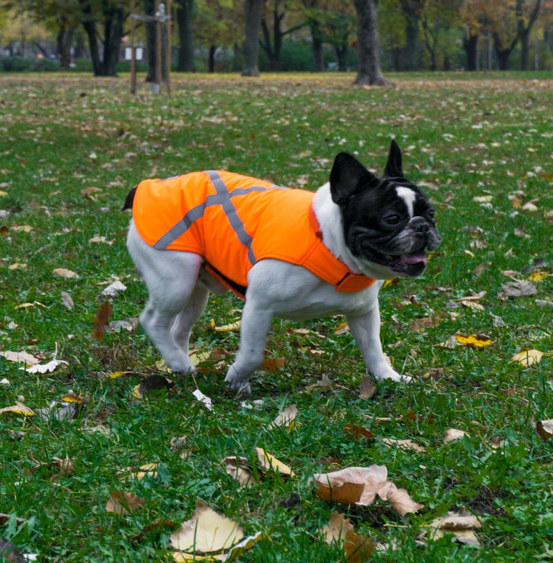 High Visibility Jacket - Hi Viz Dog Coat - Hi Vis Dog Coa - Reflective ...