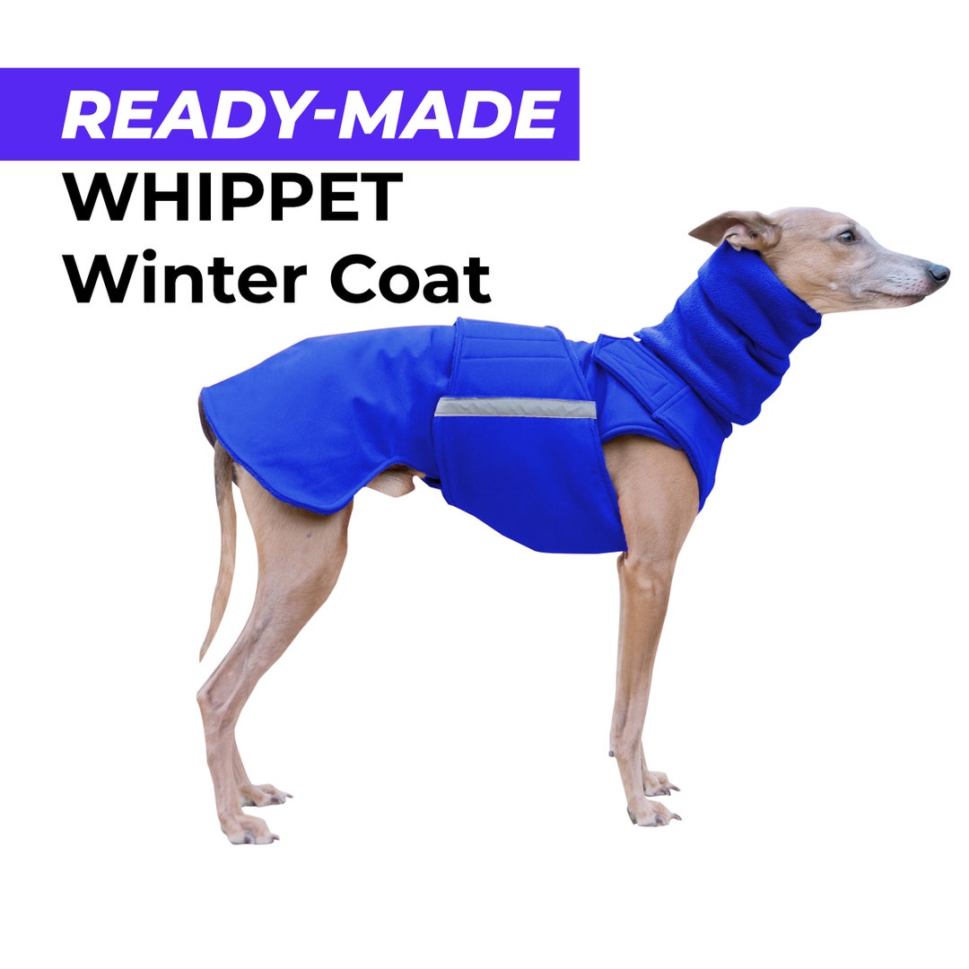 Ready-made Whippet Winter Coat With Neck Warmer - Whippet Jacket ...