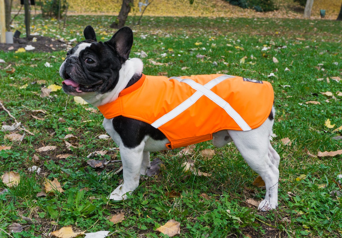 High Visibility Jacket Hi Viz Dog Coat Hi Vis Dog Coat | Etsy