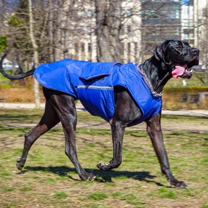 Great Dane Extra Warm Winter Dog Coat With Underbelly Protection - MADE ...