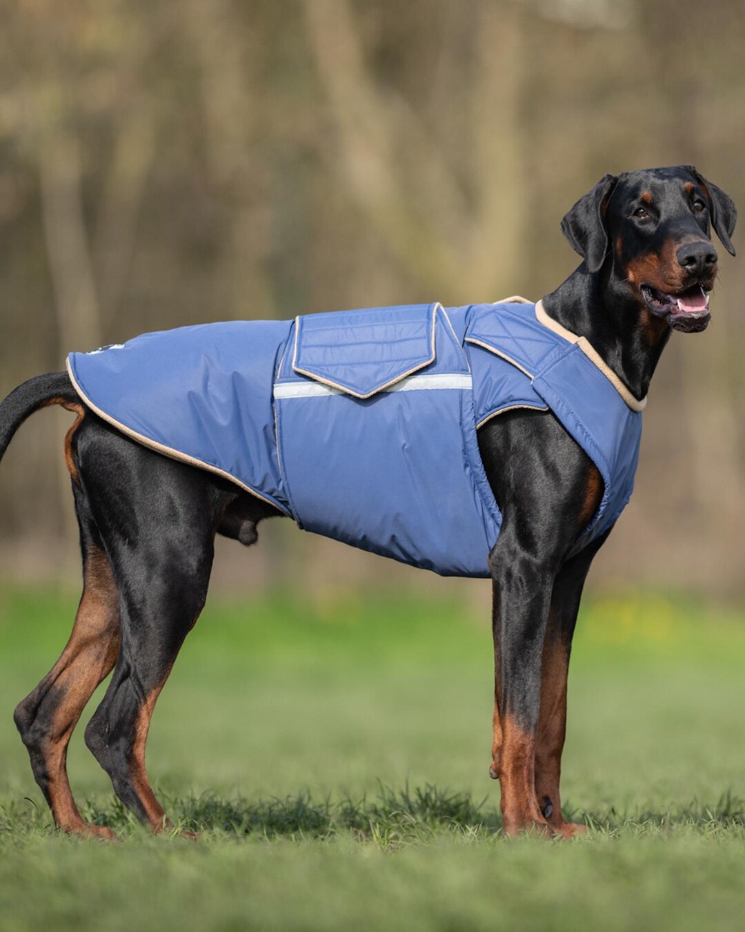 Doberman Extra Warm Winter Dog Coat, Waterproof and Insulated, 3-layer ...