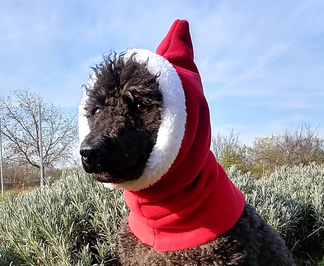 Santa Dog Snood - Christmas Dog Hat - Xmas Dog Hood - Fleece Dog Snood ...