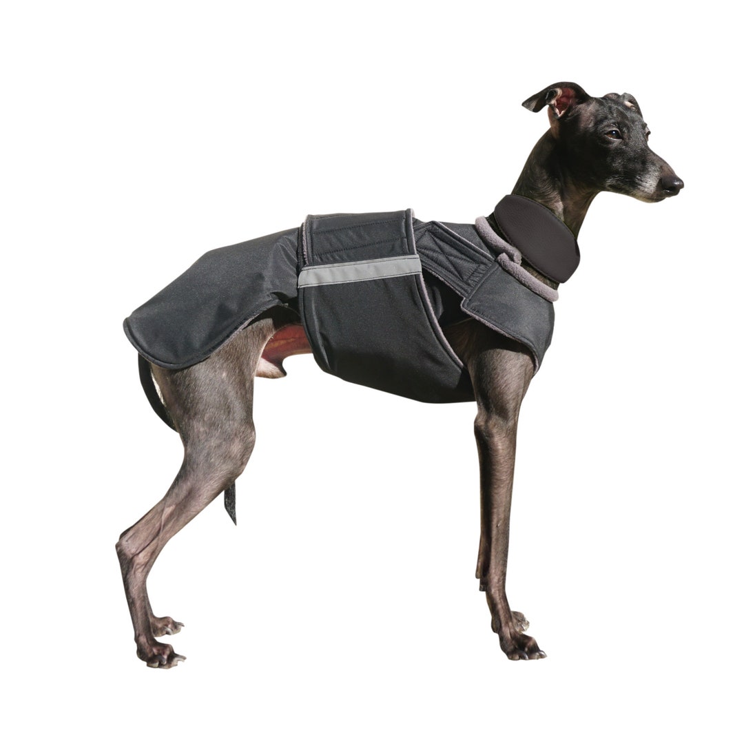 Italian Greyhound Coat - Winter Dog Jacket With Underbelly Protection ...