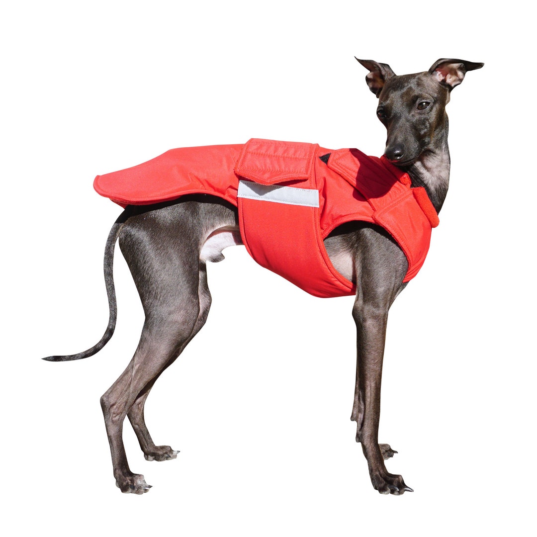 Italian Greyhound Extra Warm Winter Dog Coat - Dog Jacket With ...