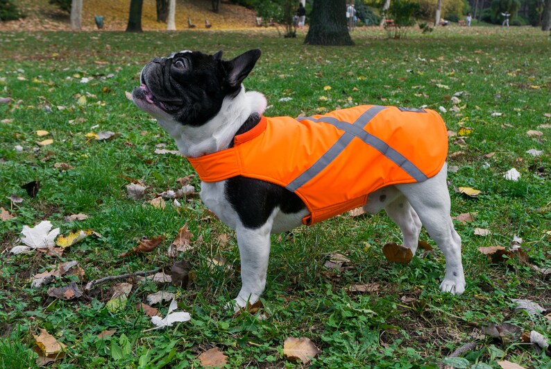 High Visibility Jacket - Hi Viz Dog Coat - Hi Vis Dog Coa - Reflective ...