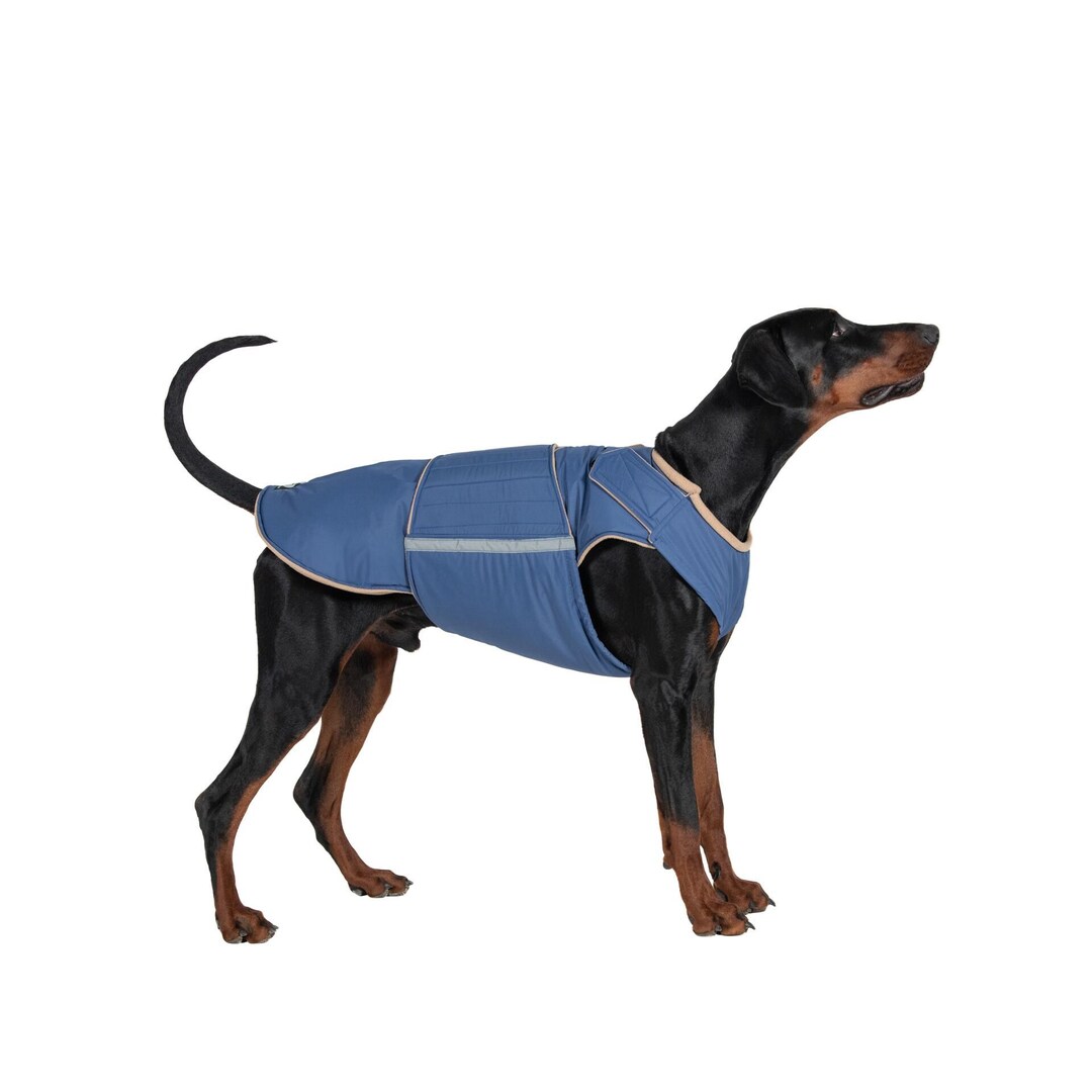 Doberman Extra Warm Winter Dog Coat - Doberman Pinscher Jacket - Custom ...