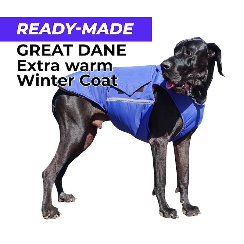 Great Dane Coat Jacket - Etsy