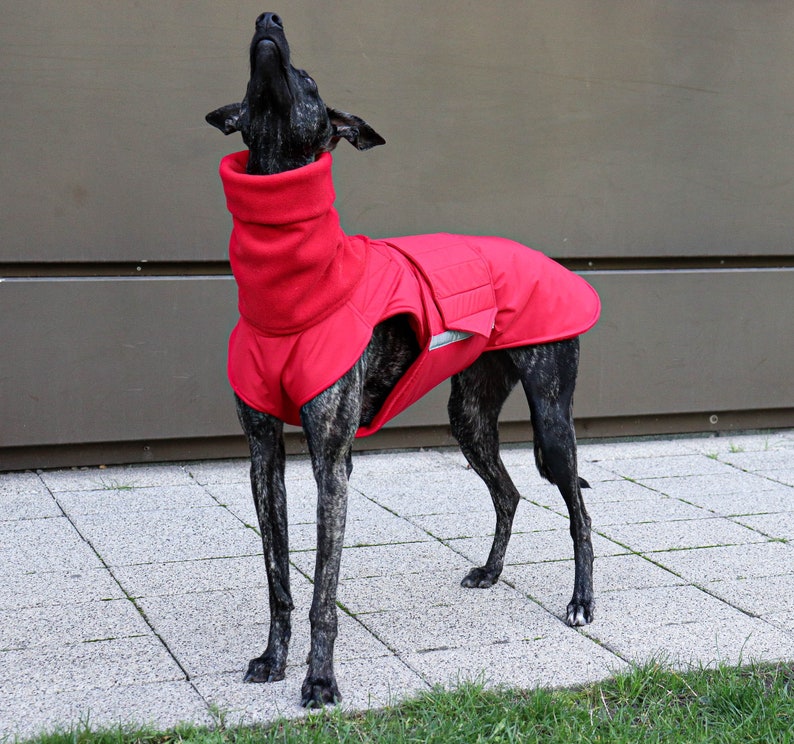 Ready-made Greyhound Extra Warm Winter Coat With Neck Warmer ...