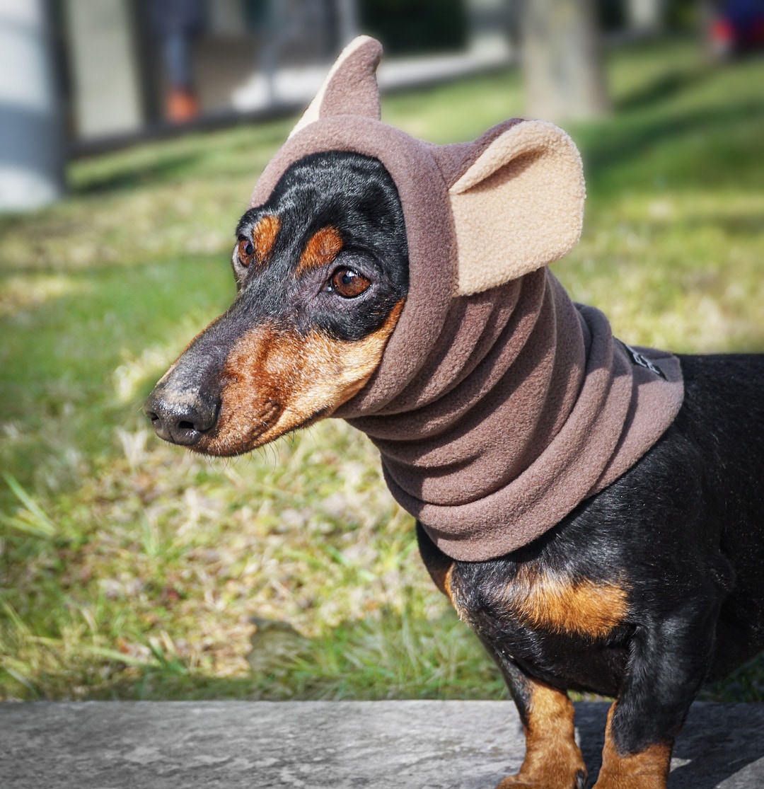 Winter Dog Snood With Ears - Fleece Dog Snood - Dog Hat / Hood - MADE ...