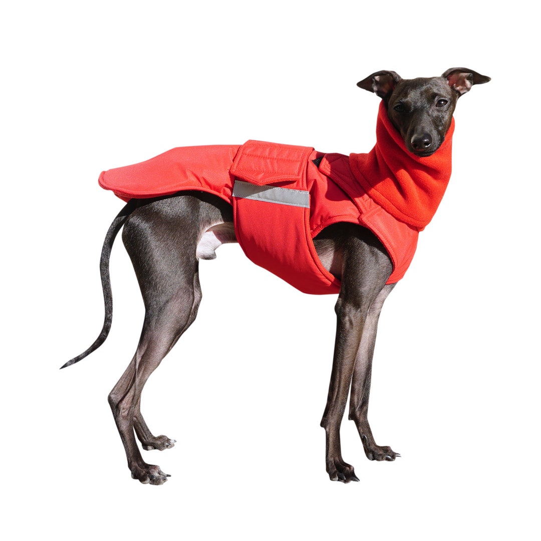 Italian Greyhound Extra Warm Winter Dog Coat - Dog Jacket With Snood ...