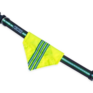 Reflective Dog Collar With High Visibility Bandana - Etsy