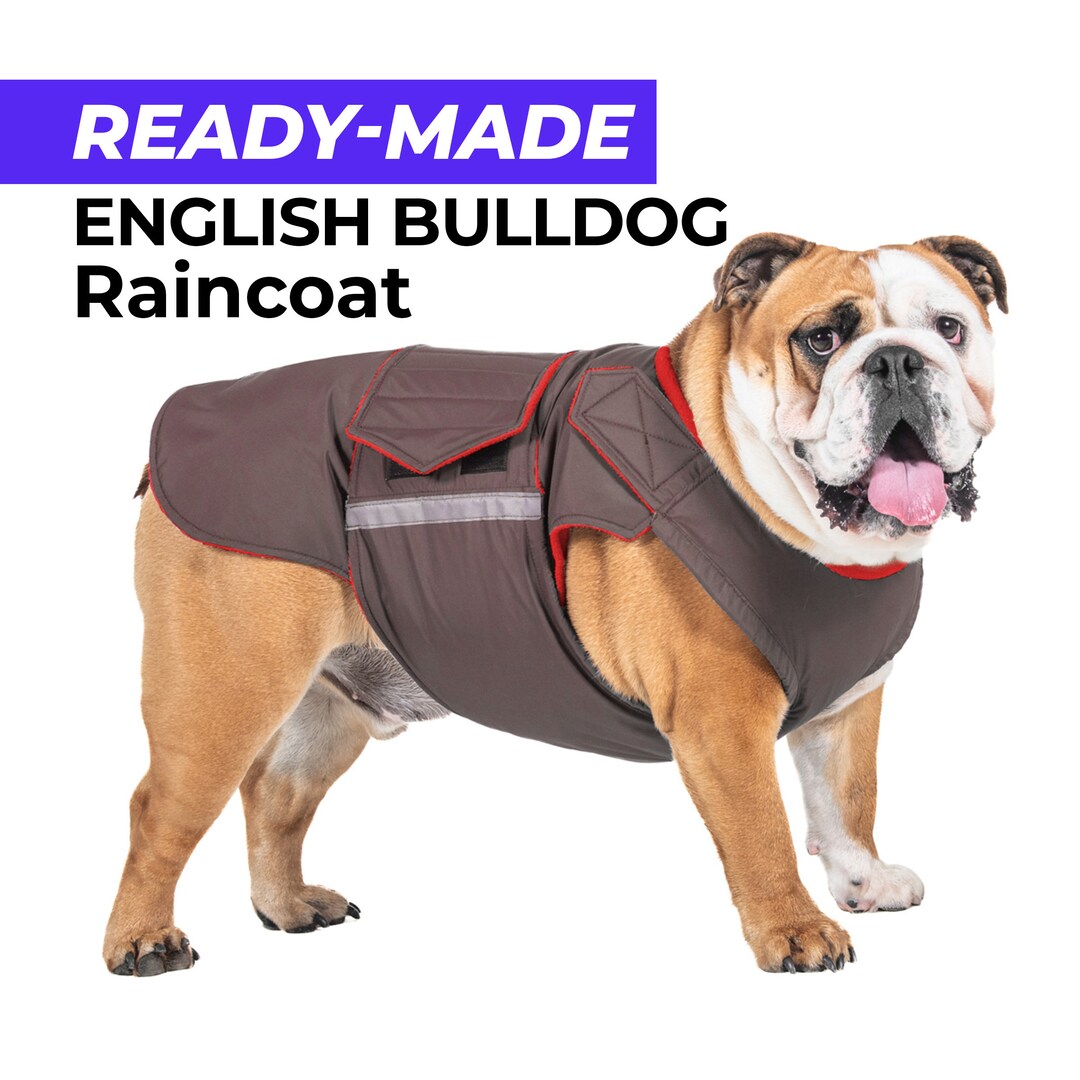 Ready-made English Bulldog Raincoat - English Bulldog Jacket ...