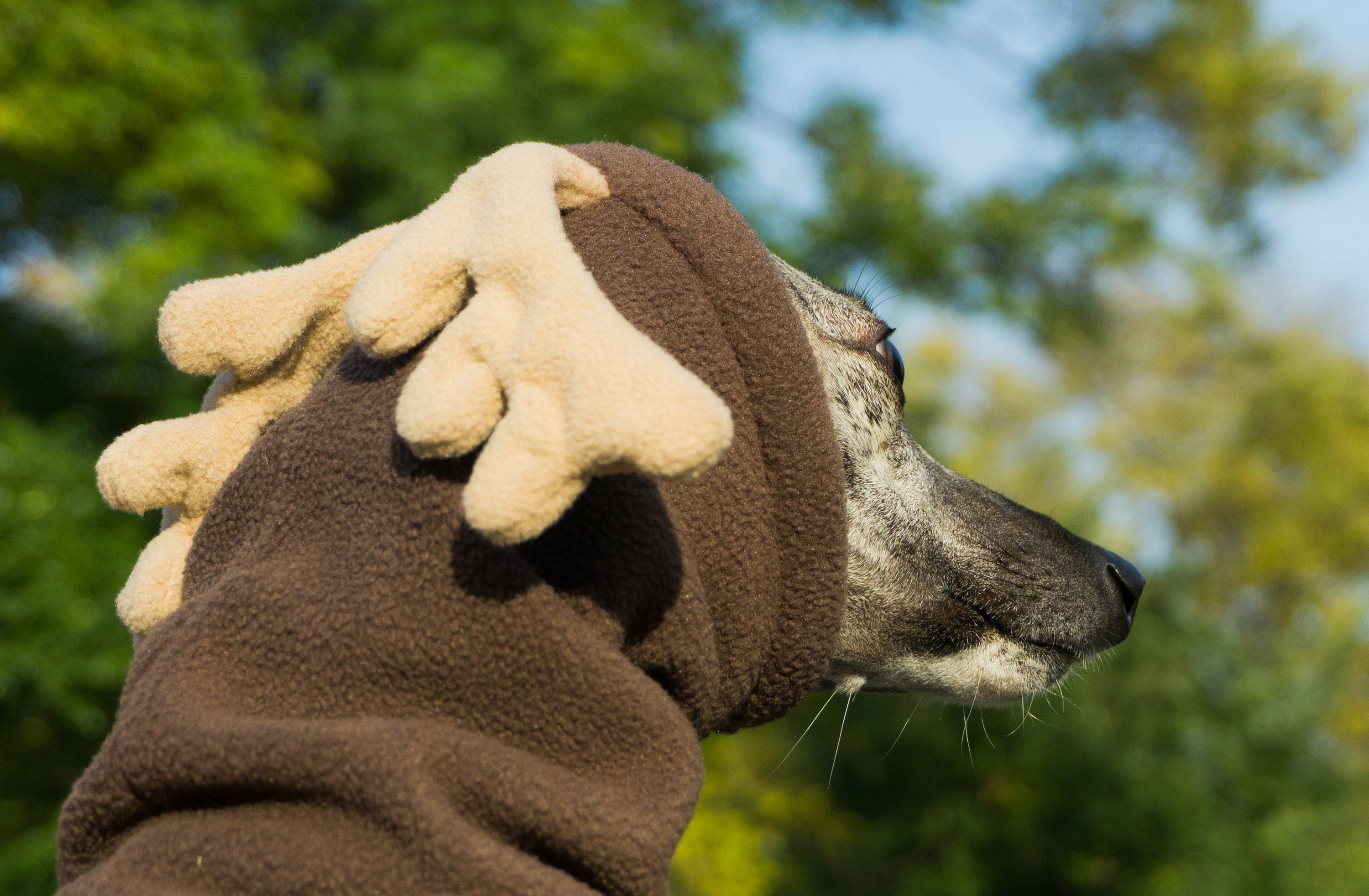 Reindeer Dog Snood Christmas Dog Hat Raindeer Dog Hood - Etsy
