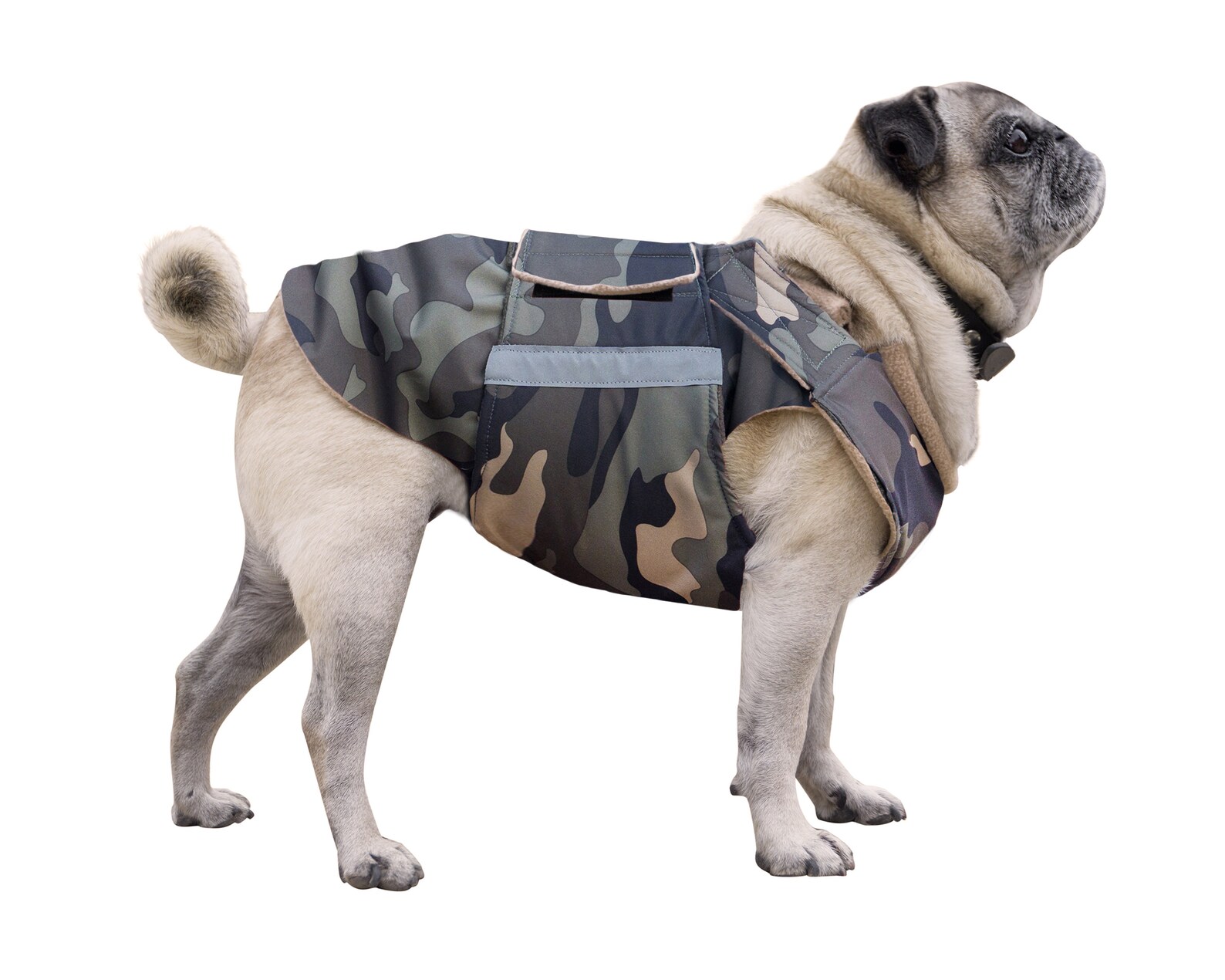 Pug Winter Dog Coat Dog Jacket With Full Belly Cover - Etsy
