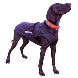 German Pointer Dog Raincoat Dog Jacket Custom Dog Coat - Etsy