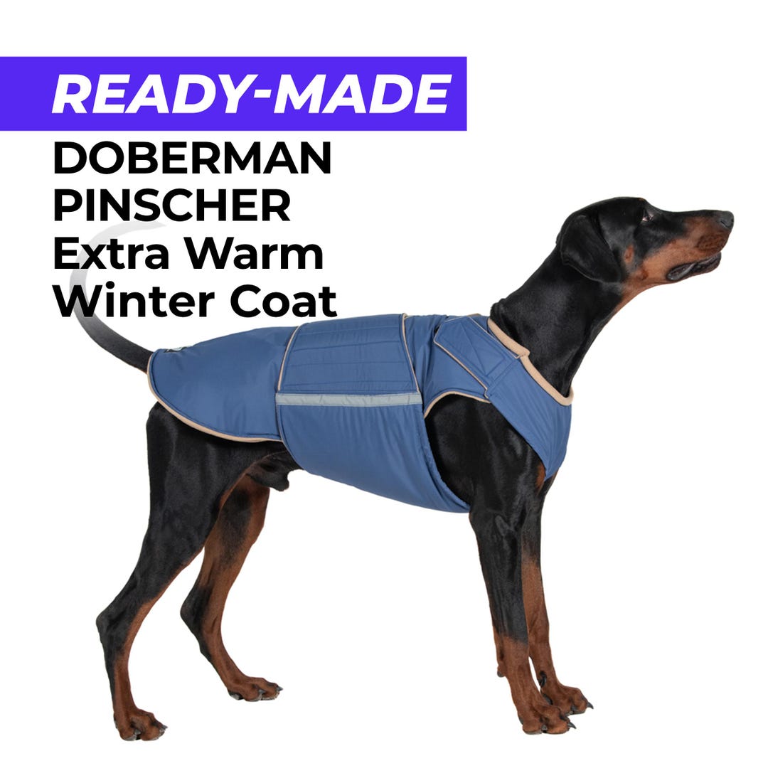 Ready-made Dobermann Extra Warm Winter Coat - Insulated Jacket - Etsy