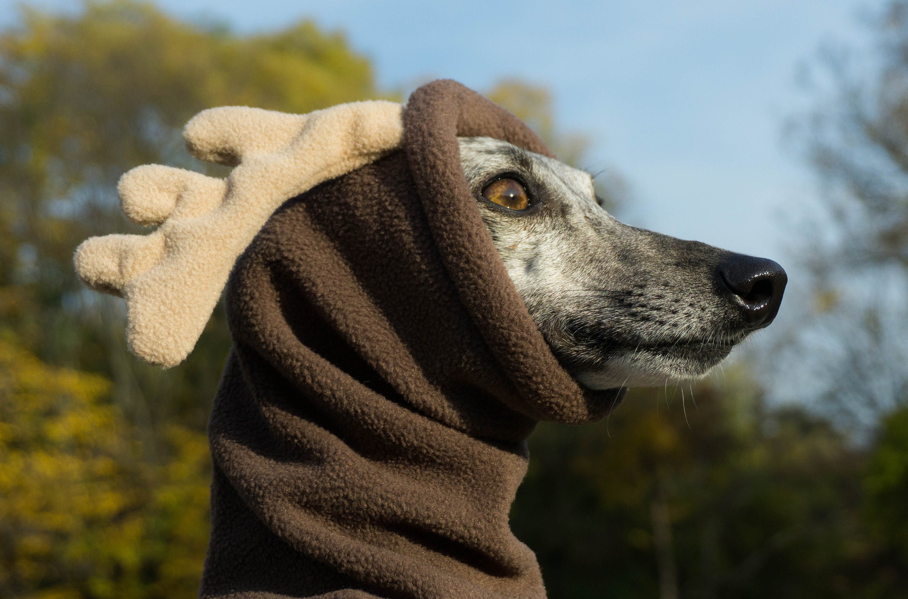 Reindeer dog snood Christmas dog hat raindeer dog hood | Etsy