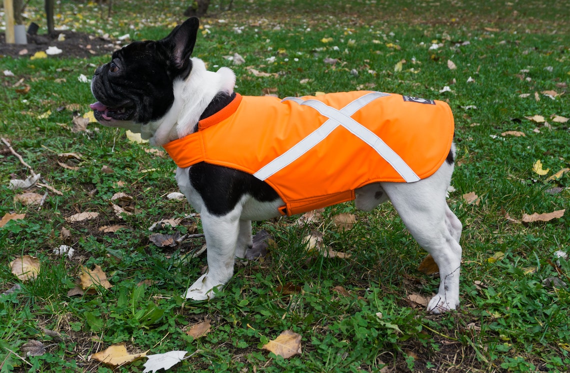 High Visibility Jacket - Hi Viz Dog Coat - Hi Vis Dog Coa - Reflective ...