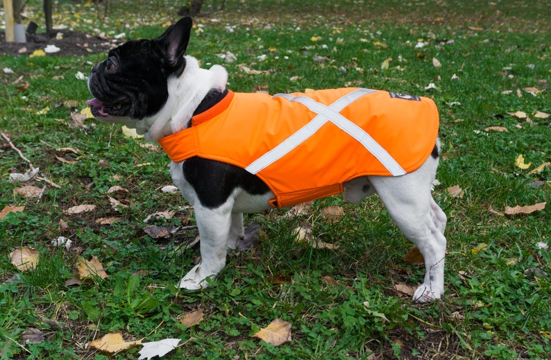 High Visibility Jacket - Hi Viz Dog Coat - Hi Vis Dog Coa - Reflective ...