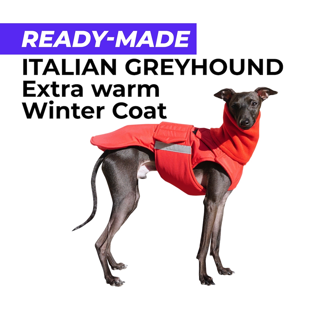 Ready-made Italian Greyhound Extra Warm Winter Coat With Neck Warmer ...