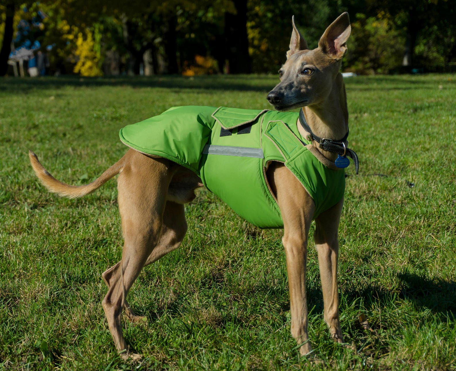 Greyhound Dog Coat Extra Warm Winter Dog Jacket Custom Dog - Etsy