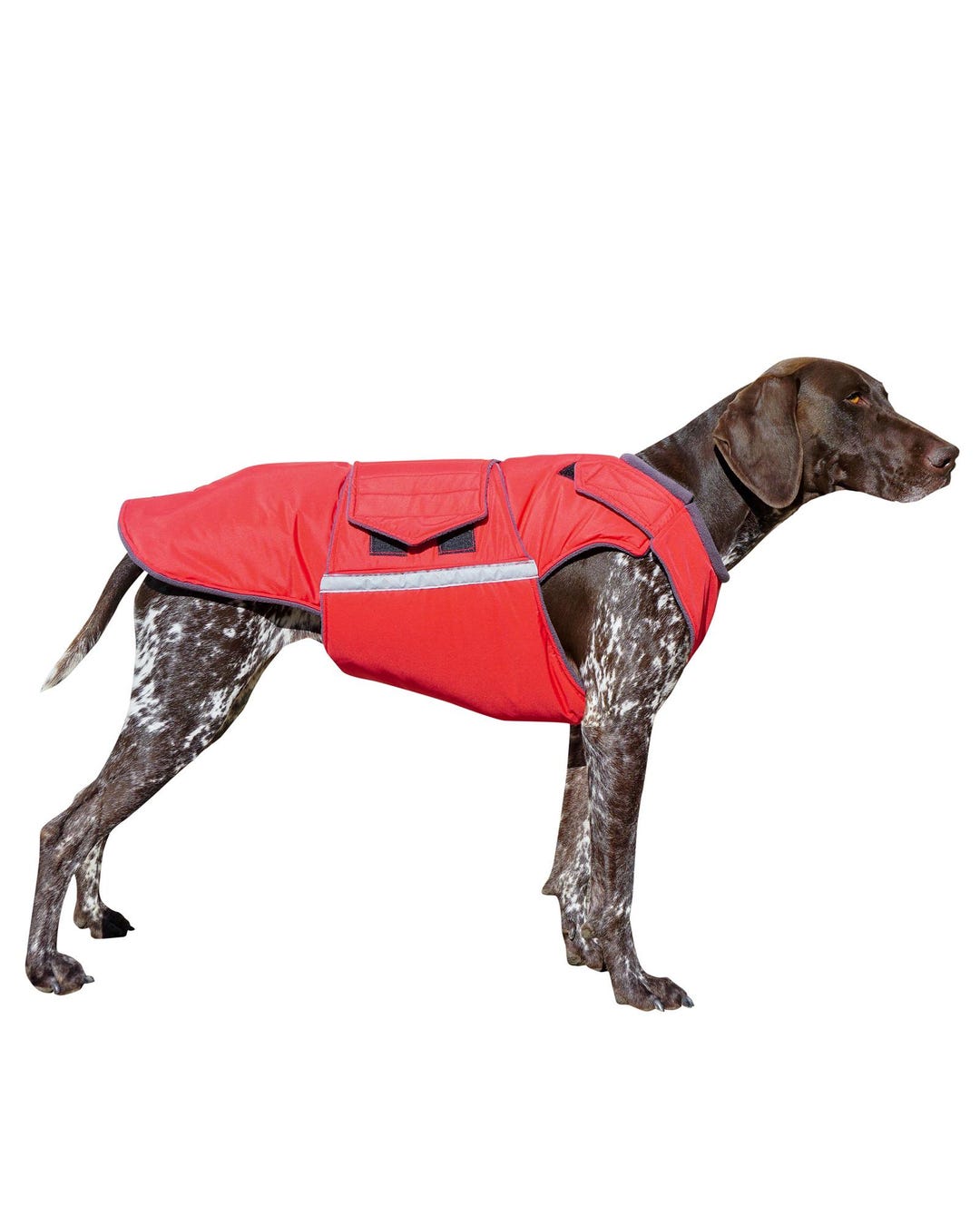 German Pointer / Vizsla Extra Warm Winter Dog Coat - Dog Jacket ...