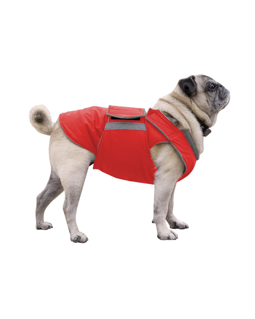 Pug Waterproof Winter Jacket – Full Belly Cover, Custom Fit - Etsy