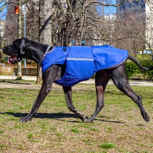 Great Dane Extra Warm Winter Dog Coat With Underbelly Protection - MADE ...