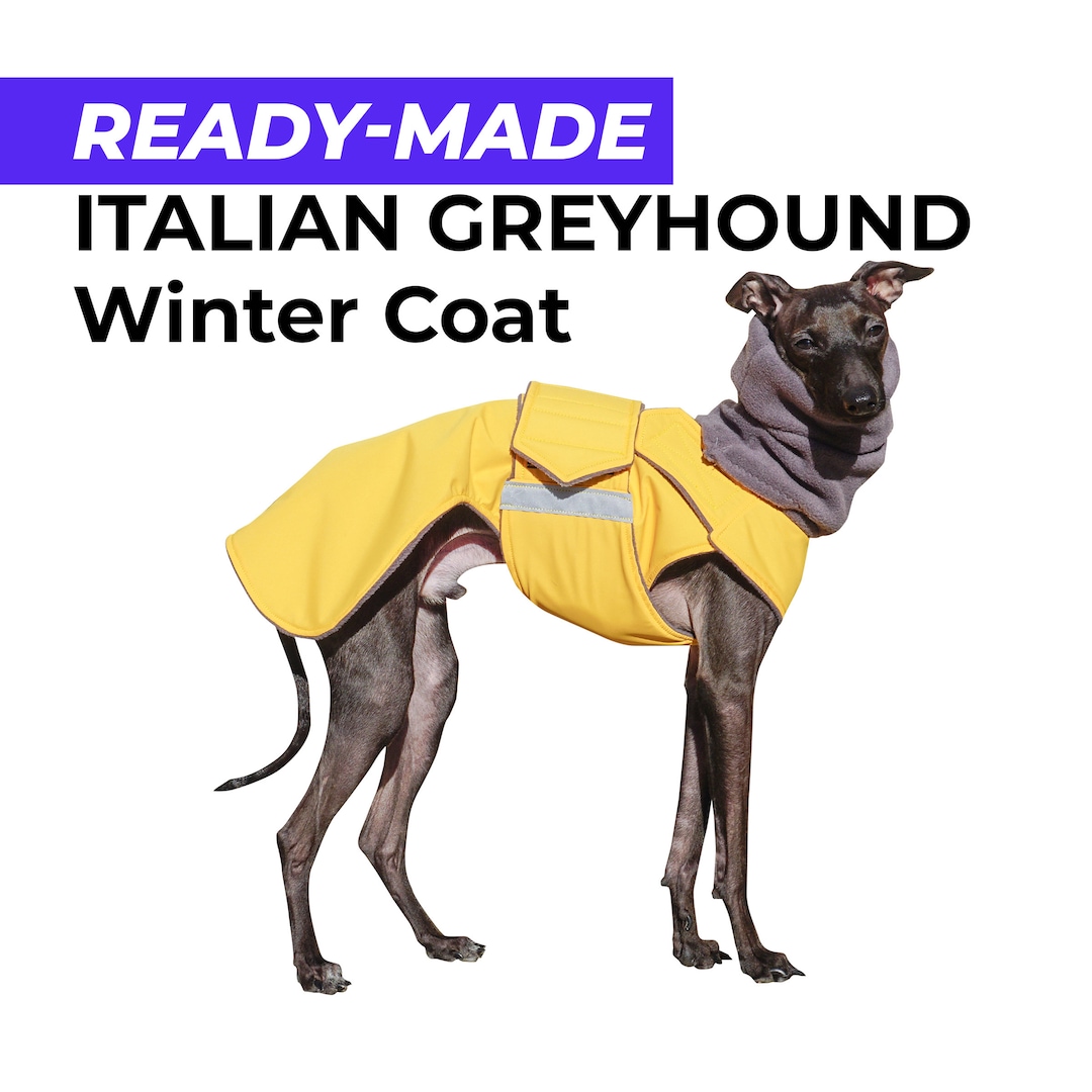 Ready-made Italian Greyhound Winter Coat With Neck Warmer - Italian ...