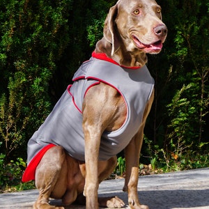 Weimaraner Softshell Dog Coat - Brown Winter Dog Coat - Custom Dog ...