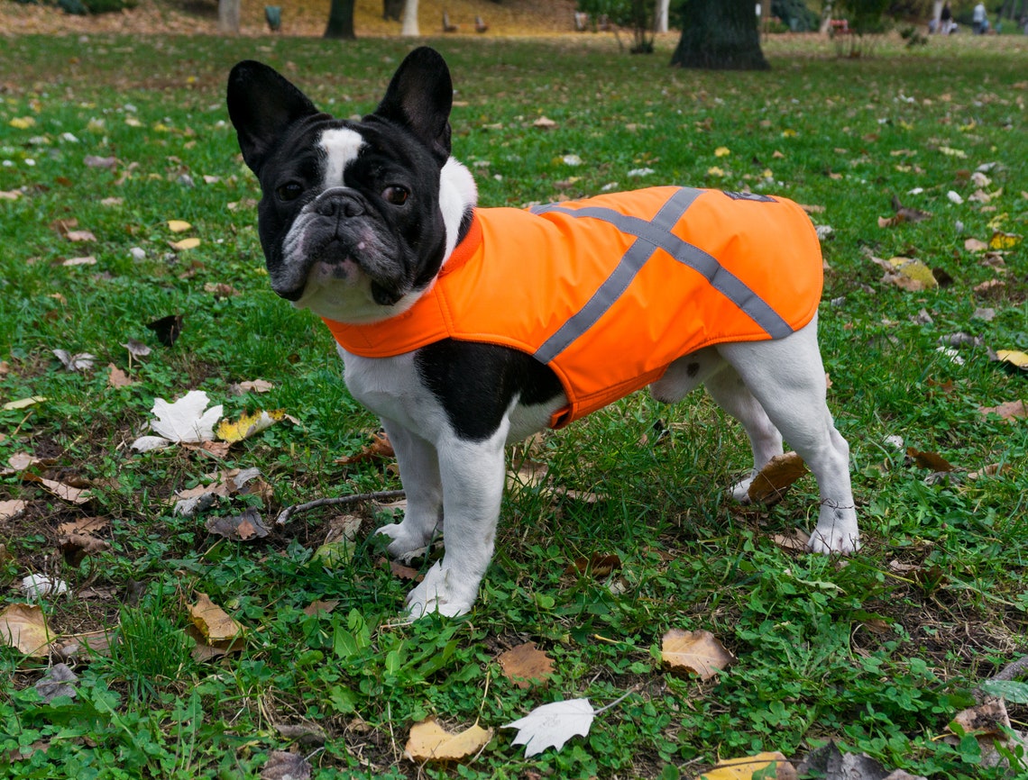 High Visibility Jacket - Hi Viz Dog Coat - Hi Vis Dog Coa - Reflective ...