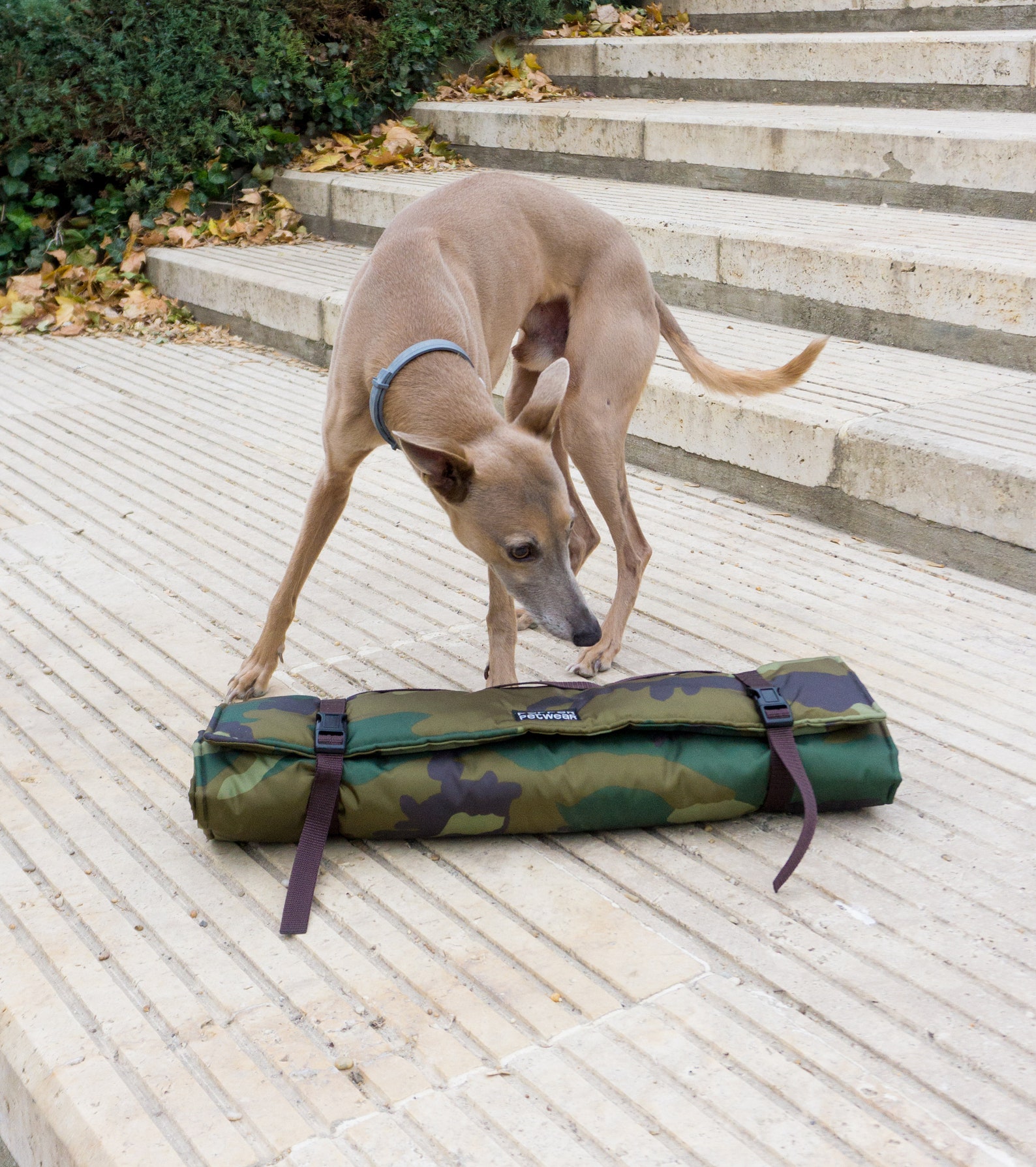 Roll-up Dog Bed, Travel Bed, Outdoor Dog Bed, Dog Sleeping Mat ...