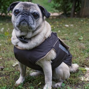 Dog Raincoat for Pugs - Dog Jacket With Underbelly Protection ...