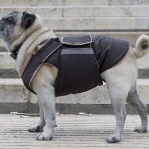 Dog Raincoat for Pugs - Dog Jacket With Underbelly Protection ...