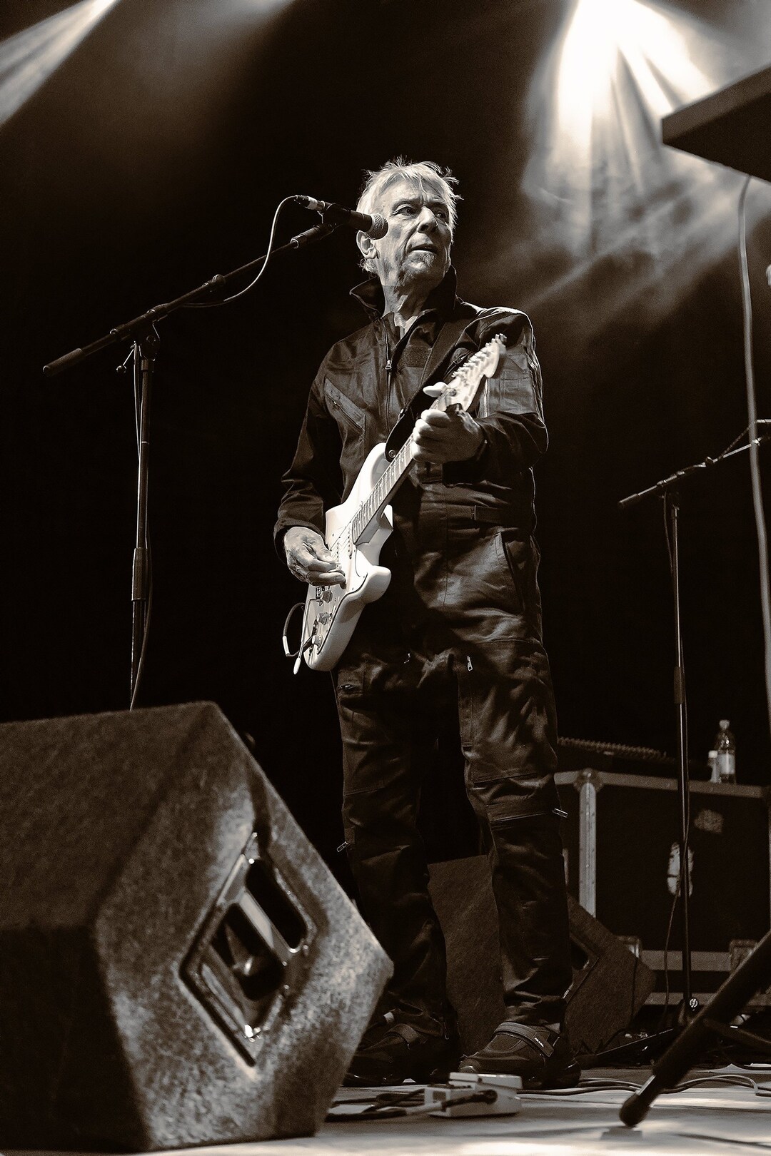 John Cale, on Stage, Poster, Print, Photograph, Original, Picture, Live ...