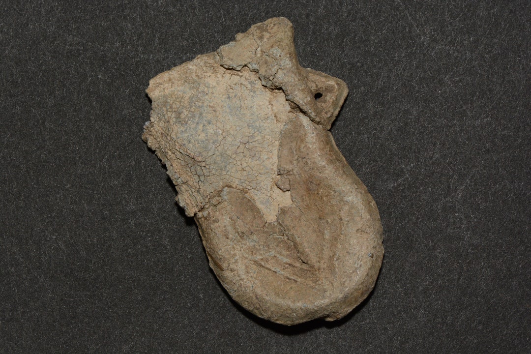 Medieval Pilgrim Flask Lead Ampullae English Circa.1400-1600 B15 - Etsy